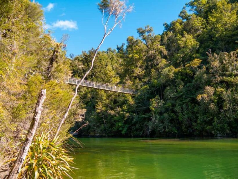 Abel Tasman National Park: Cruise and Hike Full-Day Tour - The Sum Up