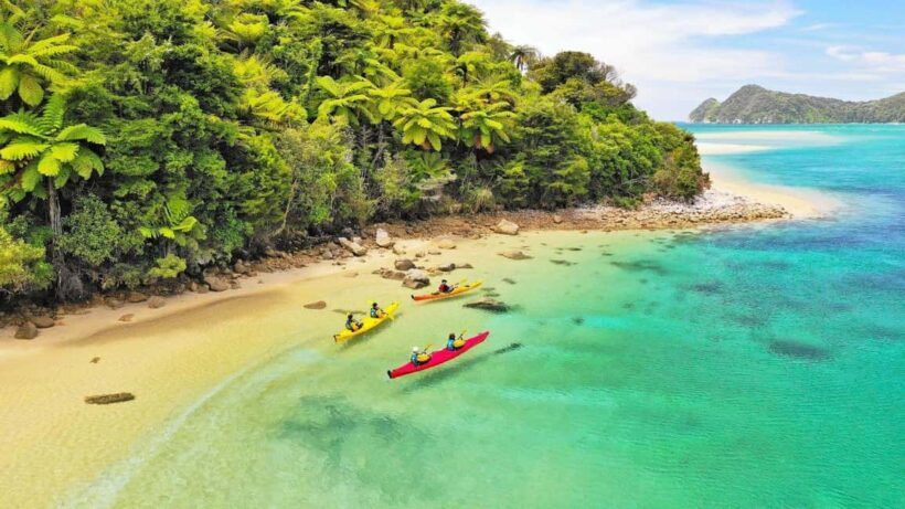 Abel Tasman National Park: Cruise, Kayak, & Hike Tour - An Overview of the Abel Tasman Water & Walk Experience