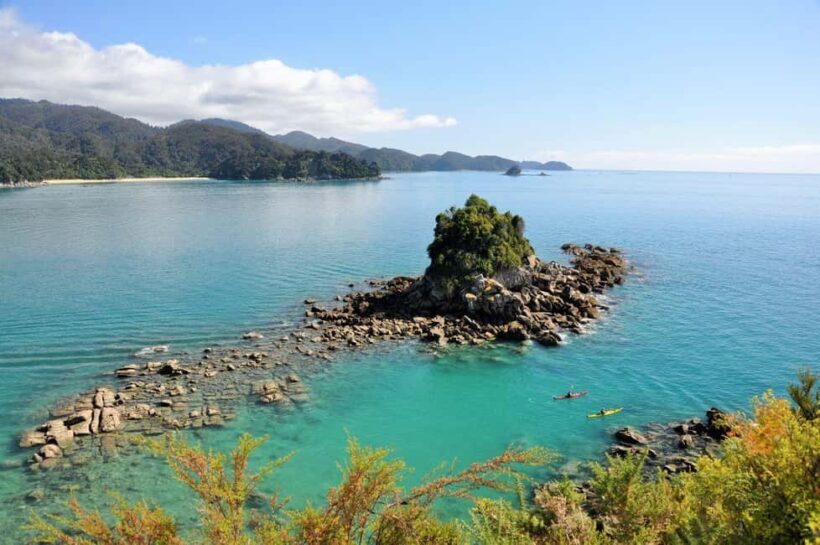 Abel Tasman National Park: Cruise, Kayak, & Hike Tour - Who Should Consider This Tour?
