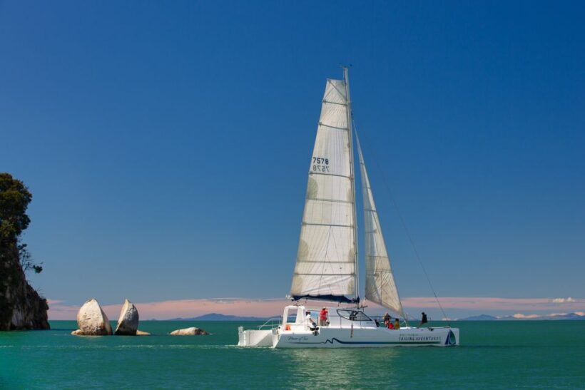 Abel Tasman National Park: Day Sailing Adventure with Lunch - The Return Journey
