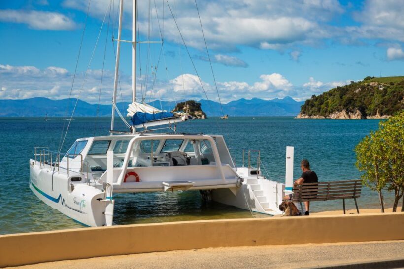 Abel Tasman National Park: Day Sailing Adventure with Lunch - Analyzing the Value