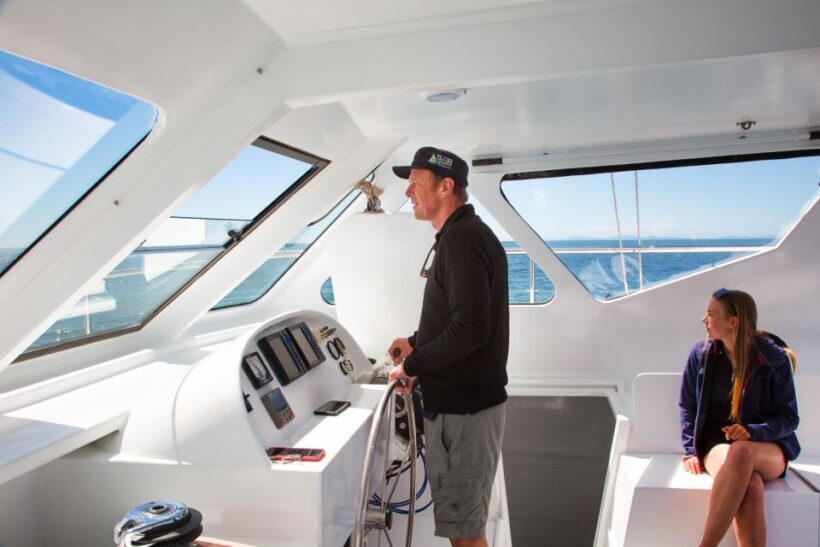 Abel Tasman National Park: Day Sailing Adventure with Lunch - The Sum Up