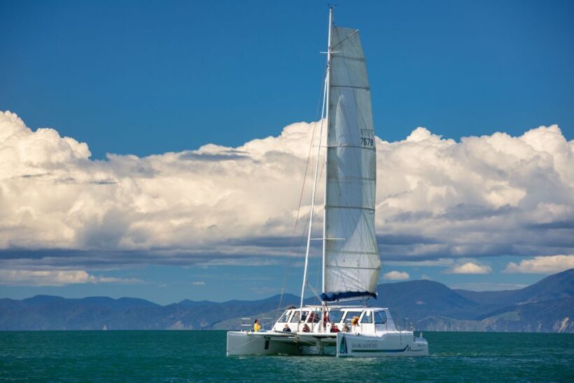 Abel Tasman National Park: Self-Guided Walk & Sailing - An Honest Look at Abel Tasman National Park: Self-Guided Walk & Sailing