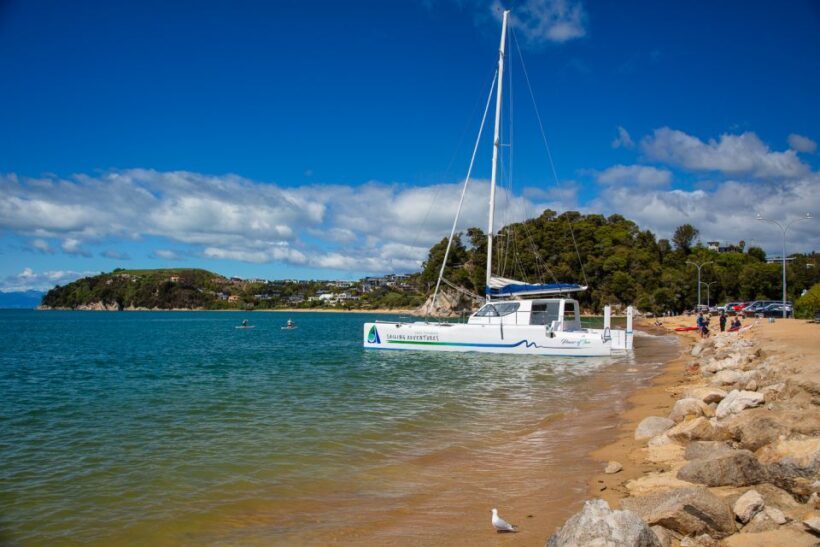 Abel Tasman National Park: Self-Guided Walk & Sailing - Value and Practical Considerations