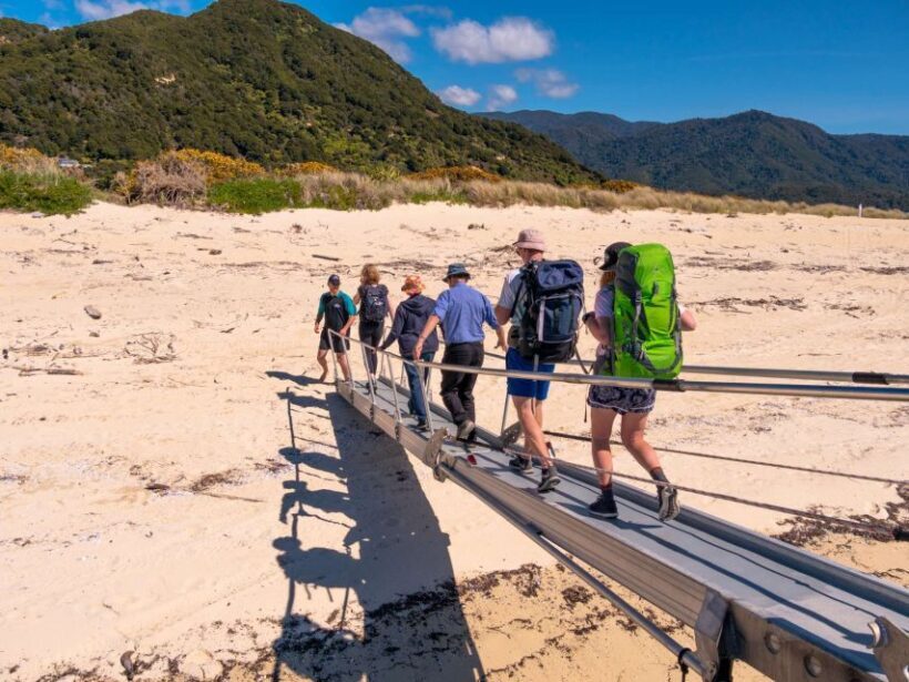 Abel Tasman: Sea Shuttle Cruise and Walking Tour Combo - Key Points