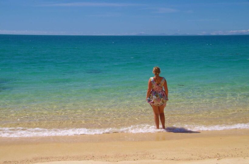 Abel Tasman: Sea Shuttle Cruise and Walking Tour Combo - Introduction: What This Tour Offers