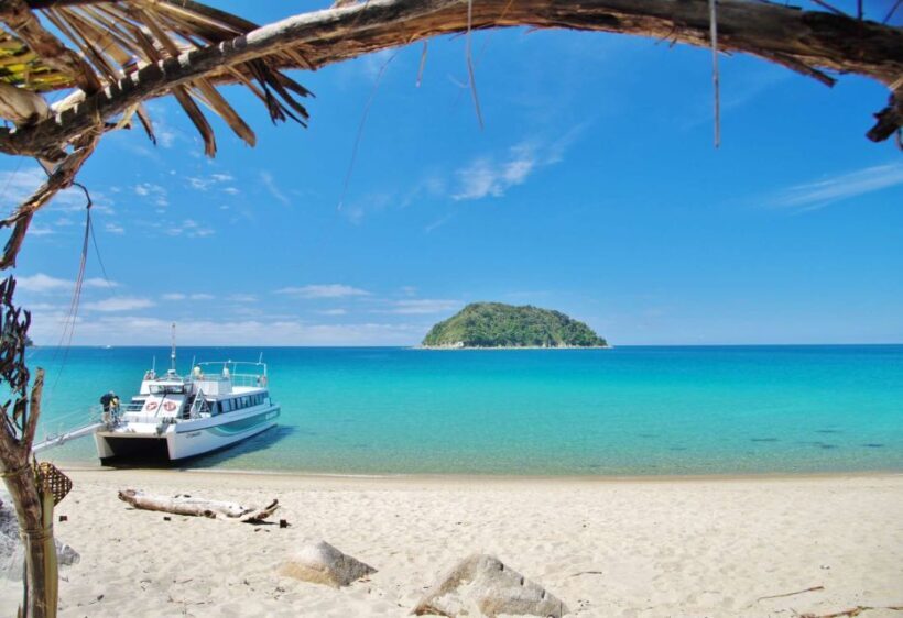 Abel Tasman: Sea Shuttle Cruise and Walking Tour Combo - What To Expect During the Day