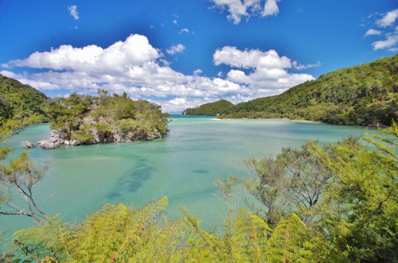 Abel Tasman: Sea Shuttle Cruise and Walking Tour Combo - Final Thoughts