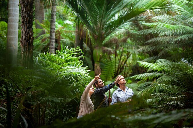 Aboriginal Heritage Walk - Royal Botanic Gardens Victoria, Melbourne Gardens - Key Points