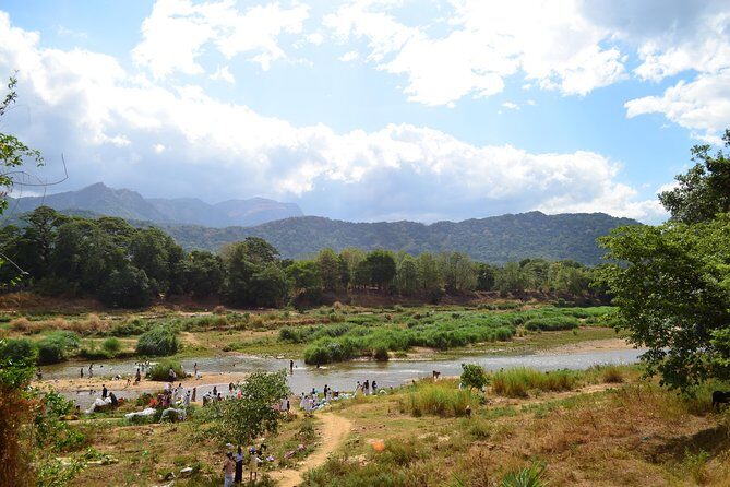 Aboriginal Village Tour from Kandy - Price and Value