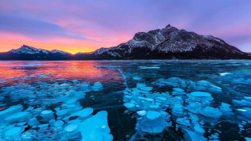 Abraham ice bubble lake/Sunwapta Falls Peyto Lake Bow Lake - An Engaging Introduction to the Tour Experience