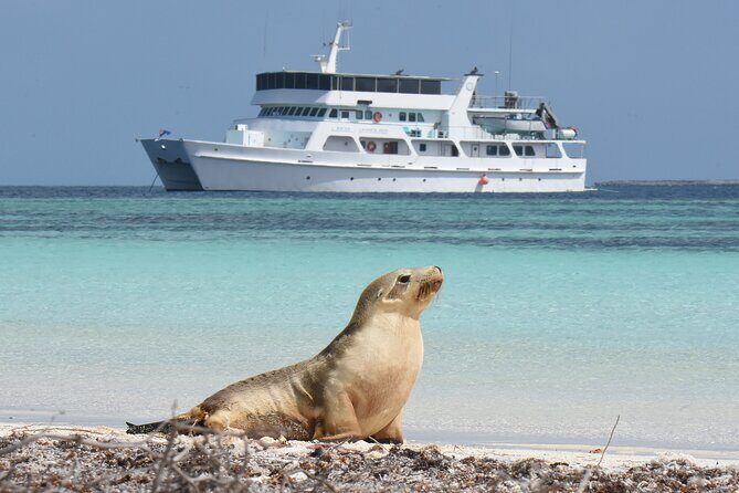 Abrolhos Islands 5 Day Cruise - The Sum Up: Who Should Consider This Experience?