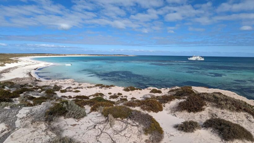 Abrolhos Islands 5 Day Cruise & Fly from Geraldton - Days 2-3: Moving North to Easter Group