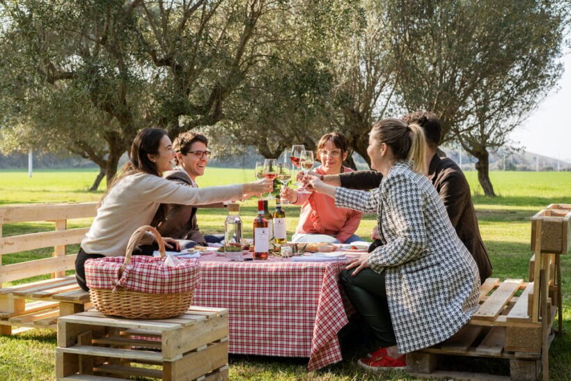 Abruzzo: Country Picnic in an Olive Grove at a Winery - A Detailed Look at the Experience