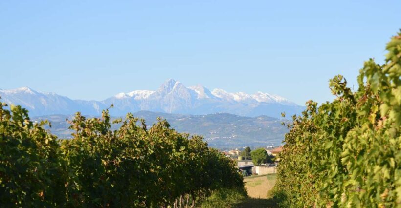 Abruzzo: Historic Cellar Wine Tour and Tasting - The Tasting Experience: Wines, Food, and Local Flavors