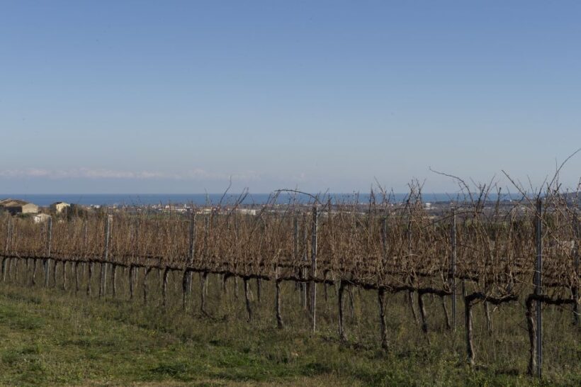 Abruzzo: Historic Cellar Wine Tour and Tasting - Why This Tour Offers Real Value