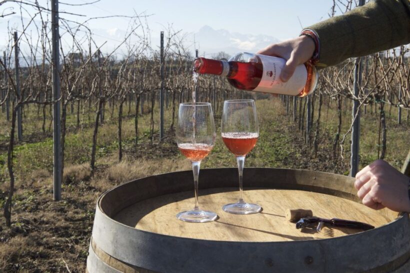 Abruzzo: Historic Cellar Wine Tour and Tasting - A Detailed Breakdown of the Experience