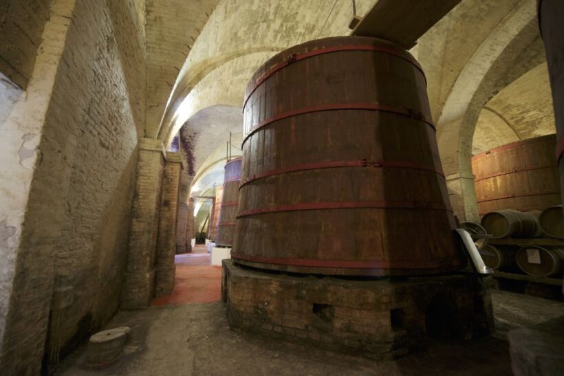 Abruzzo: Historic Cellar Wine Tour and Tasting - Who Should Consider This Tour?