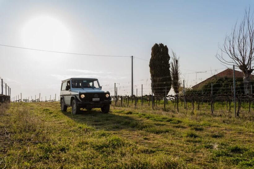 Abruzzo: Vineyard Jeep Tour with Tastings - Authentic Experiences That Stand Out