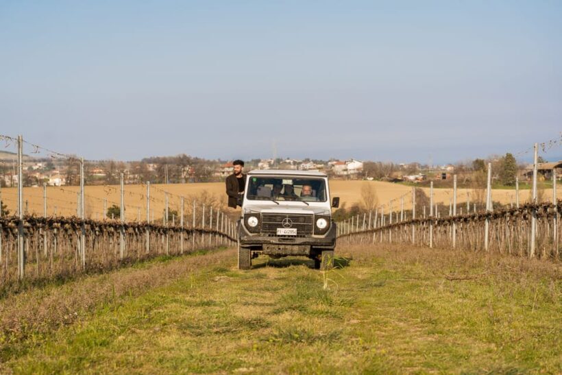 Abruzzo: Vineyard Jeep Tour with Tastings - FAQ