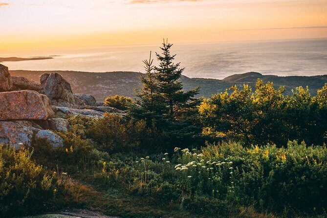 Acadia Cadillac Mountain Sunrise Half Day Private Tour & Hike - Transportation and Comfort