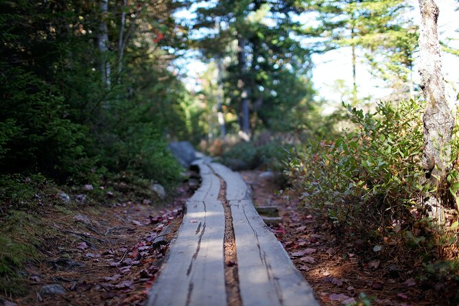 Acadia Full Day Private Tour and Hike - The Itinerary: Step-by-Step Breakdown