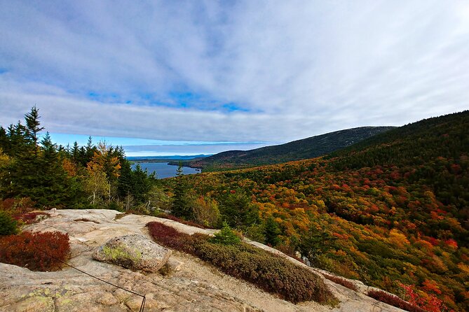 Acadia Full Day Small Group Tour - Inclusions