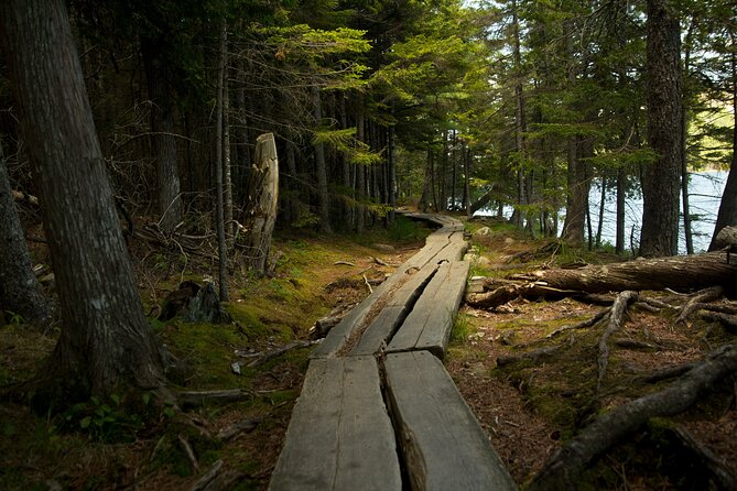 Acadia Full Day Small Group Tour - Tailored Experiences