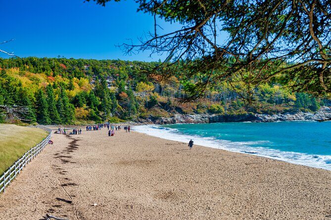 Acadia's Ocean Path Self-Guided Walking Audio Tour - Discover Acadia’s Ocean Path in Your Own Pace