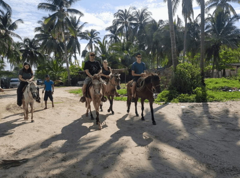 Acapulco: Bonfil Beach Horseback Riding Experience - What to Expect from the Bonfil Beach Horseback Riding Experience