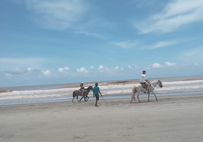 Acapulco: Horseback Riding, Turtle Camp, and Crocodile Tour - Exploring Acapulco: Horseback Riding, Turtle Camp, and Crocodile Sanctuary Tour