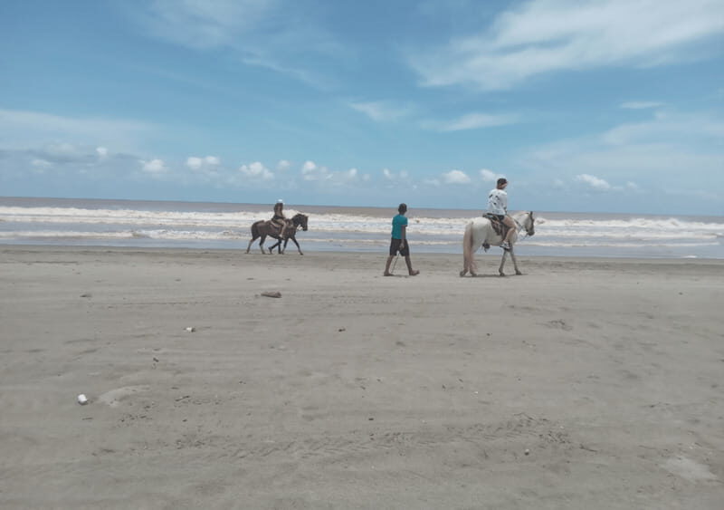 Acapulco: Horseback Riding, Turtle Camp, and Crocodile Tour - Key Points