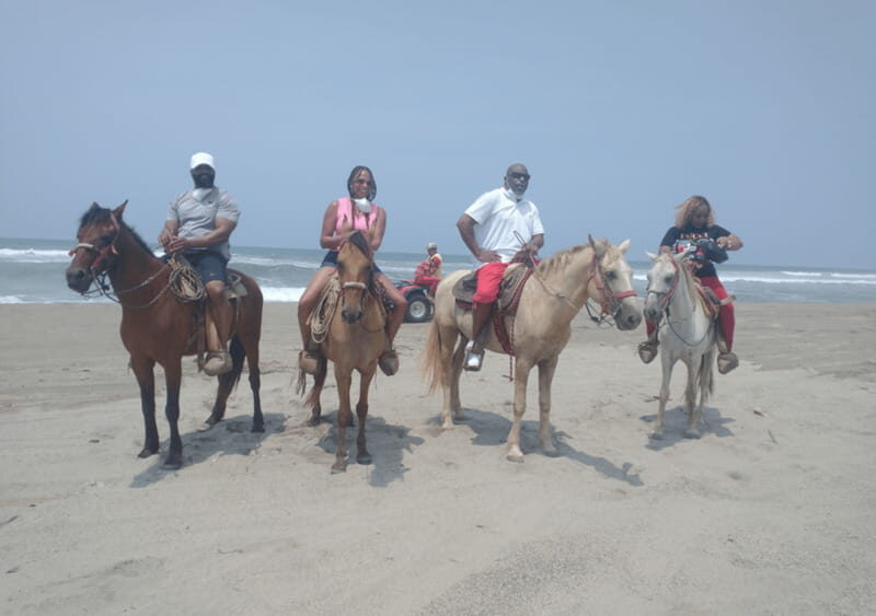 Acapulco: Horseback Riding, Turtle Camp, and Crocodile Tour - How the Tour Stacks Up