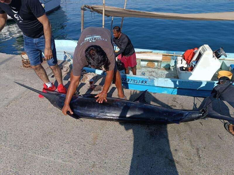 Acapulco: Private Fishing Experience - An In-Depth Look at the Acapulco Private Fishing Tour