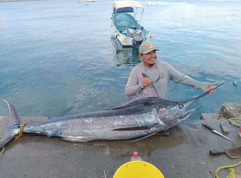 Acapulco: Private Fishing Experience - Final Thoughts: Is This Tour Worth It?