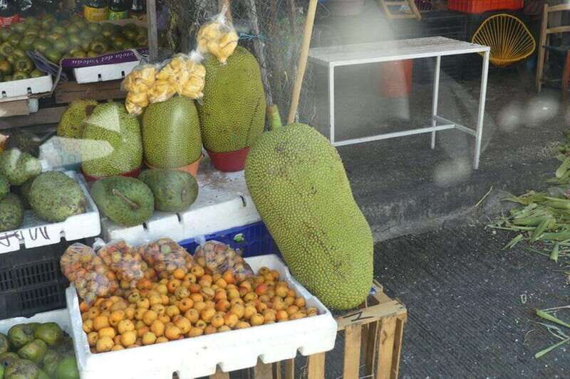 -Acapulco: Private Tour with Lunch and Hotel Pickup - Practicalities: What You Need to Know