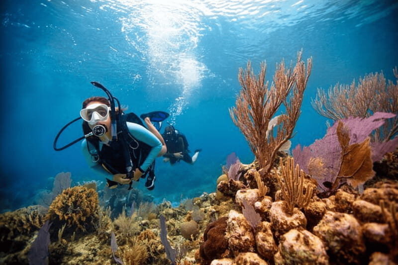 Acapulco: Scuba Diving in Roqueta Island - Key Points