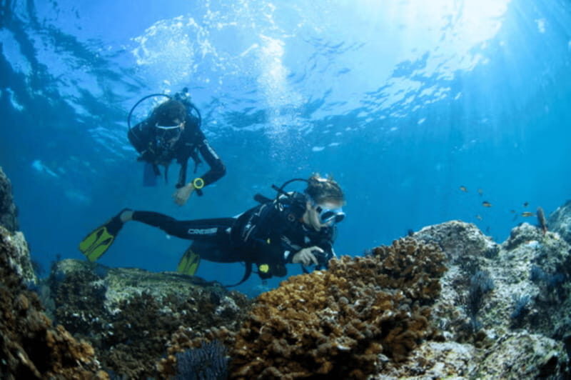Acapulco: Scuba Diving in Roqueta Island - Who Should Consider This Tour?