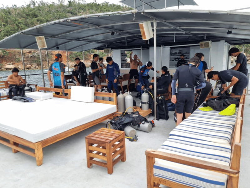 Acapulco: Snorkeling Tour with Equipment - Final Thoughts: Who Should Book?