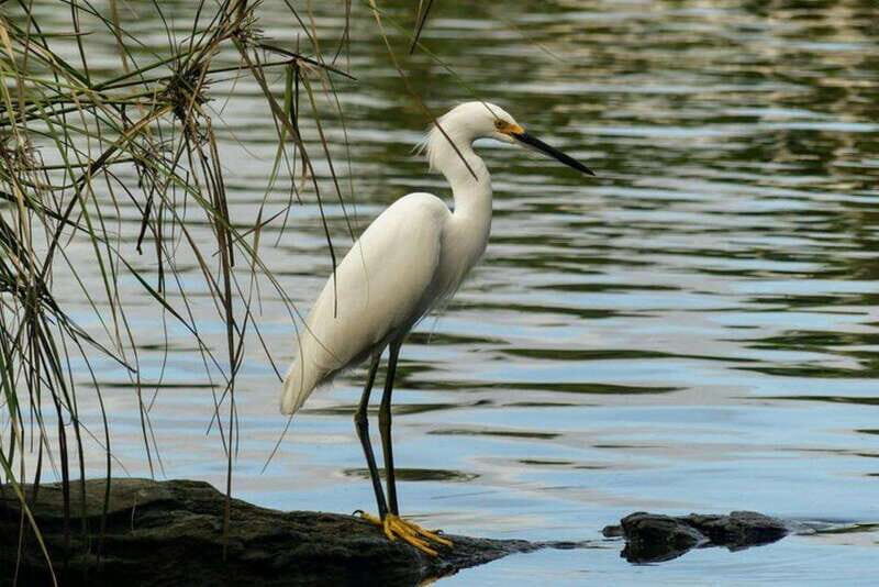 -Acapulco:3 Palos Lagoon Boat Ride& Crocodile Farm Exprience - Dining and Resting: A Tasty Break