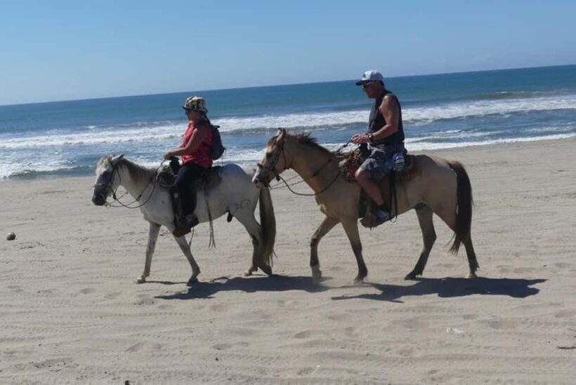 -Acapulco:Turtle Release Crocodile Farm & Horseback Ride Exp - Who Will Love This Tour?