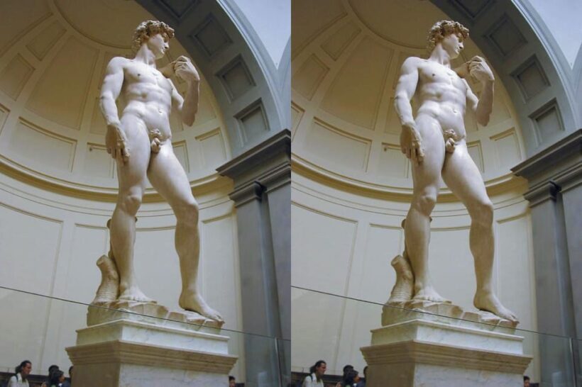 Accademia Gallery Priority Entry Ticket with e-Book - Overview of the Experience