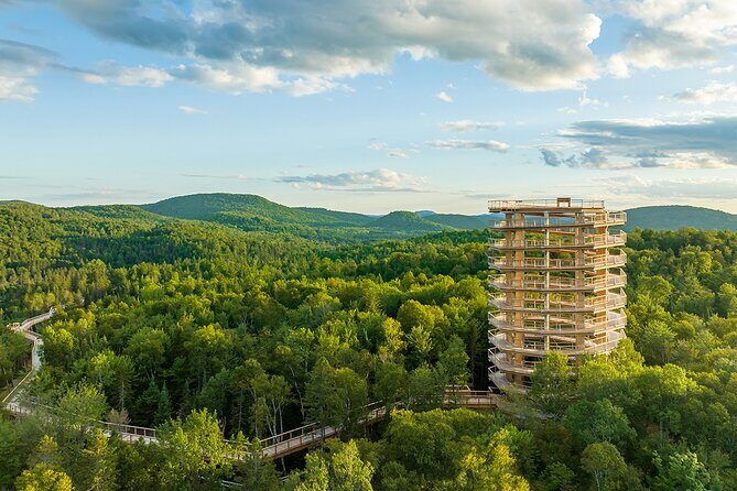 Access to Mont-Tremblant Treetop Observatory and Walk - An In-Depth Look at the Experience