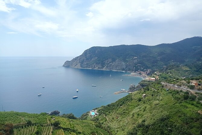 Accessible Cinque Terre and Pisa Private Excursion from Livorno - Why Choose This Tour?