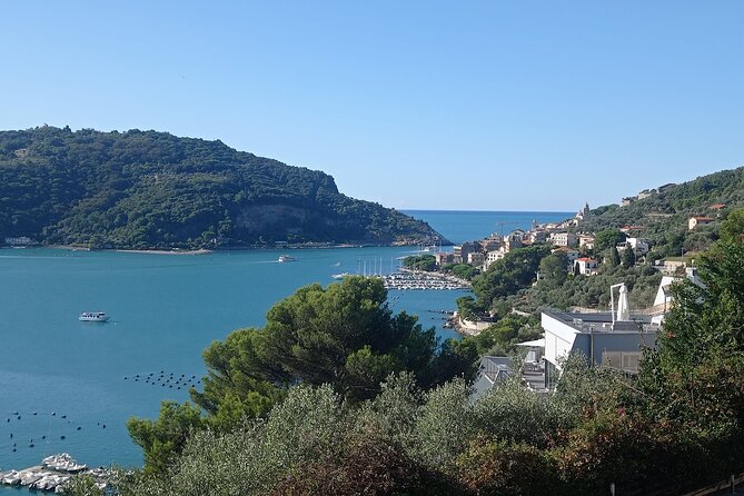 Accessible Cinque Terre and Pisa Private Excursion from Livorno - Transportation & Comfort