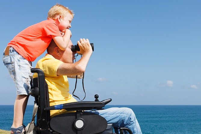 Accessible Tour In Athens, 3 Hours Athens Panorama Shore Excursion - Why This Tour Offers Good Value