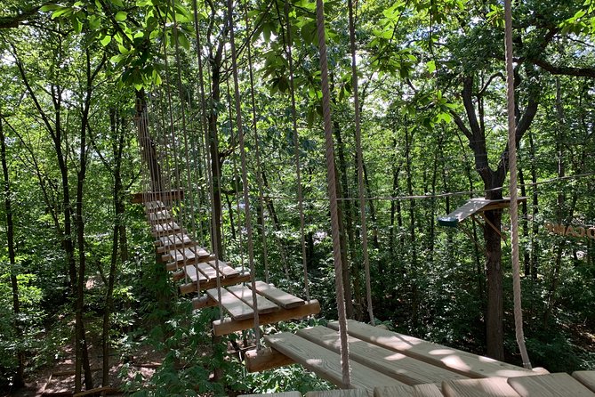 Accrobranches course in the middle of the forest in Saint-Germain-en-Laye - Key Points