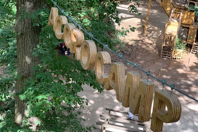 Accrobranches course in the middle of the forest in Saint-Germain-en-Laye - The Sum Up: Is This Tour Worth It?