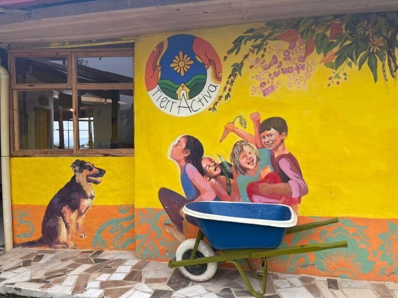 Active Bird-Watching Tour - What to Expect from the Experience