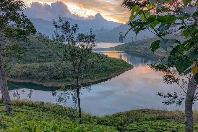 Adams Peak Night Hike Experience [One Day & ALL INCLUSIVE] - Authentic Experiences and Traveler Testimonials